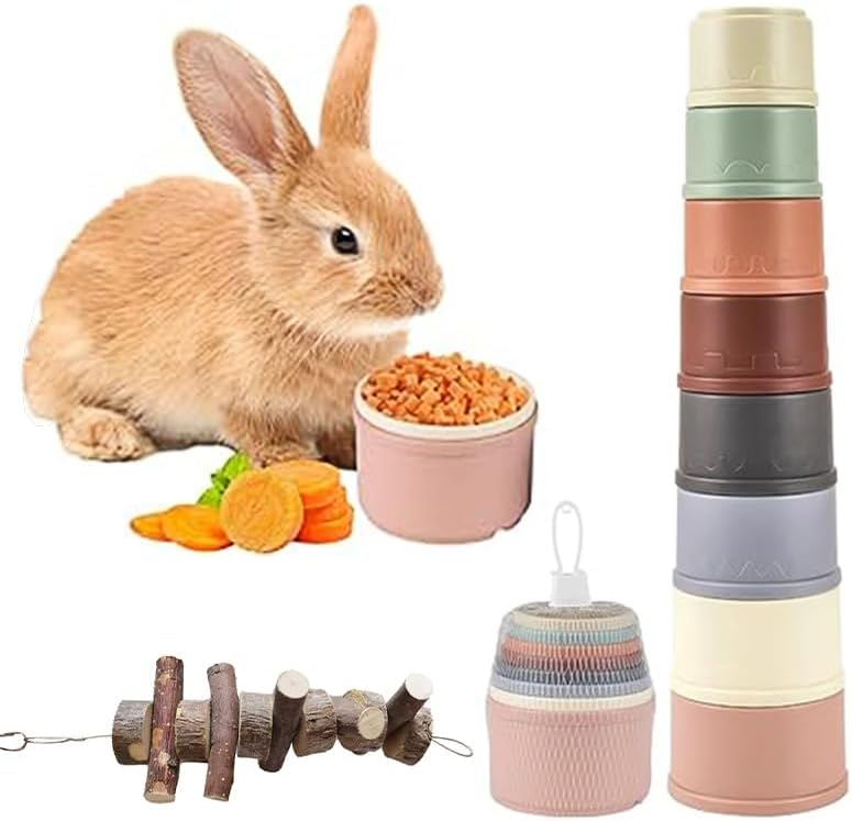 Amazon.com : LIFEBEA Rabbits Small Animals Stacking Cups Multi-Colored ...