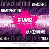 【発売日：2011年08月08日】・製造元:Fly Warp Records