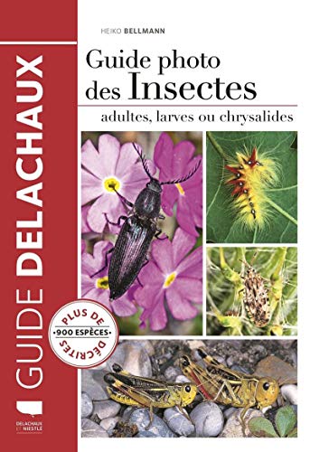 Les 5 meilleurs livres sur les insectes en 2025