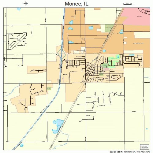 Amazon.com : Large Street & Road Map of Monee, Illinois IL - Printed ...