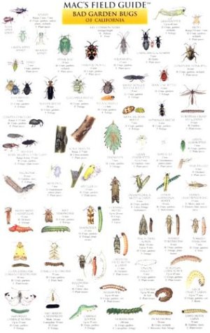 Mac's Field Guides: California Garden Bugs: MacGowan, Craig ...