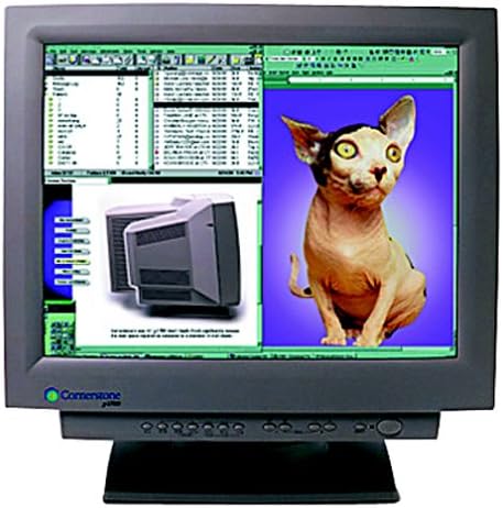 Amazon.com: CORNERSTONE Monitor CRT P1700 de 21,1" : Electrónica