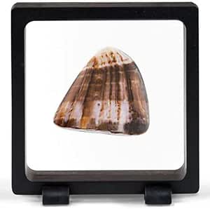 Amazon.com: Floating Magic Frame 90 : Everything Else