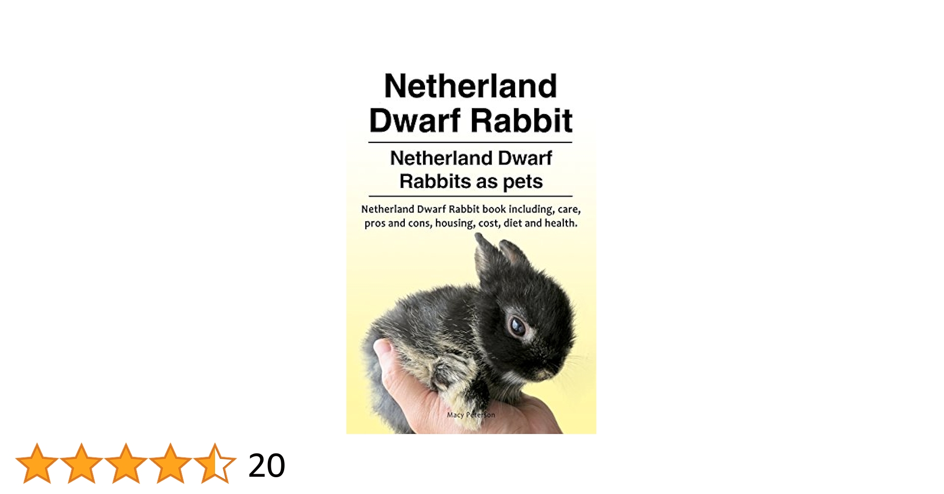 Netherland Dwarf Rabbits