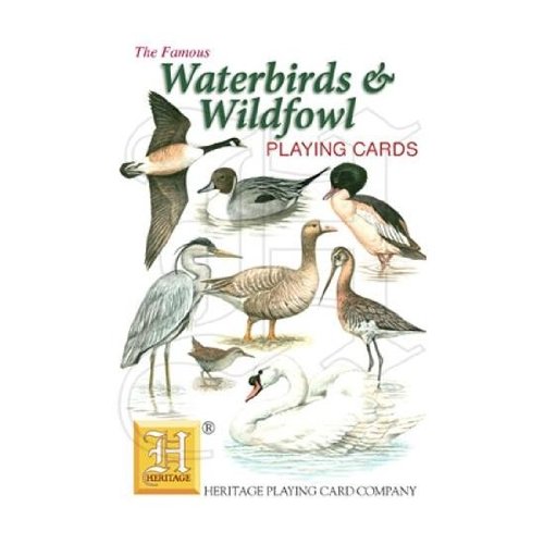 Wild Math and Reading Curriculums's Amazon Page