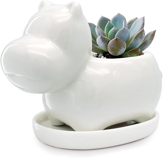 Amazon.com : GeLive White Hippo Planter Mini Ceramic Succulent Plant ...