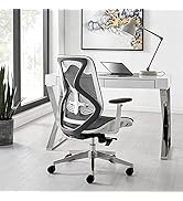 INNOWIN Jazz-Legend High-Back Office Chair Mesh Ergonomic Chair for ...