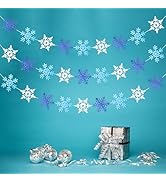 Amazon.com: 20 Pcs Winter Snowflake Hanging Swirls Decorations - Winter ...