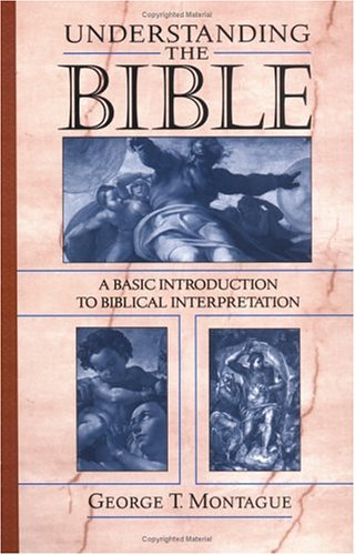 Buy Understanding the Bible: A Basic Introduction to Biblical ...