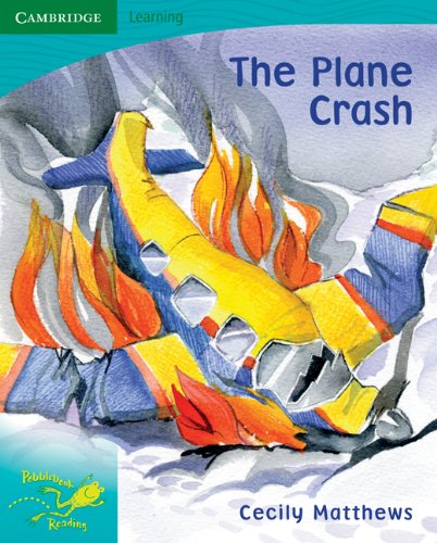 Pobblebonk Reading 5.10 The Plane Crash: Matthews, Cecily ...