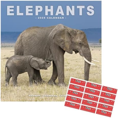 Elephants Calendar 2025 | 16 months | with FREE Organisational Stickers ...