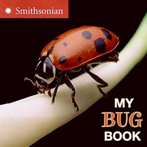 My Bug Book: Stewart, Melissa: 9780060899790: Amazon.com: Books