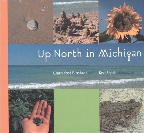 Up North in Michigan: Binstadt, Chari Yost, Scott, Ken: 9780966239973 ...