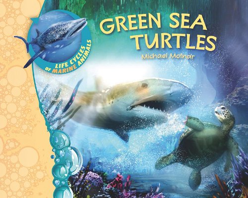 Green Sea Turtles (Life Cycles of Marine Animals): Molnar, Michael ...