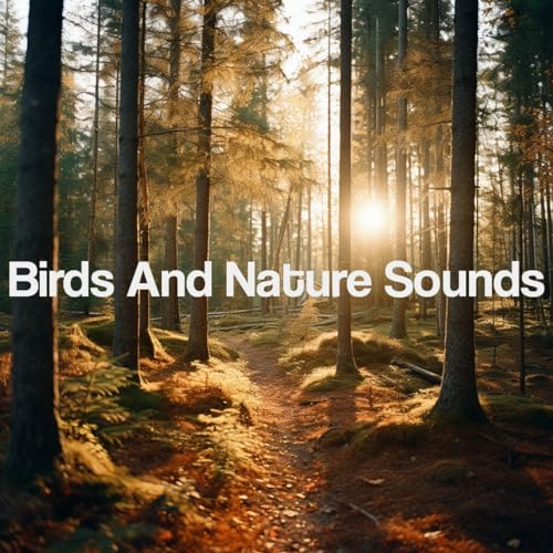 Amazon MusicでSleep Sounds of Nature & YOGAのBirds And Nature Soundsを再生する