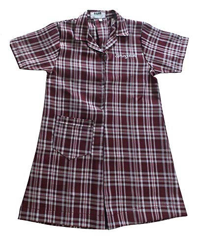 Buy A Line Apparel SPRINGDALES School Tunic for School Going Young ...