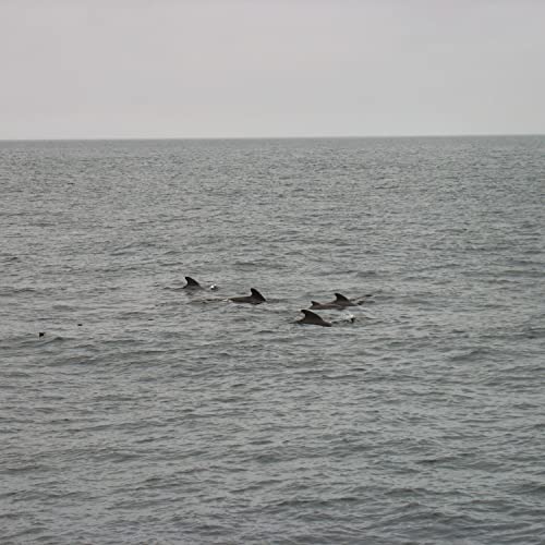 Écouter Mayhem Drill par Mathieu Tougas sur Amazon Music Unlimited