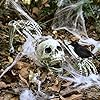 Amazon.com: SpringFlower Halloween Skeleton Decorations- Skeleton ...