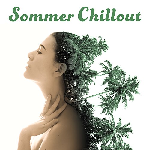 Amazon.com: Sommer Chillout – Chill Out 2017, Electronic Music, Easy ...