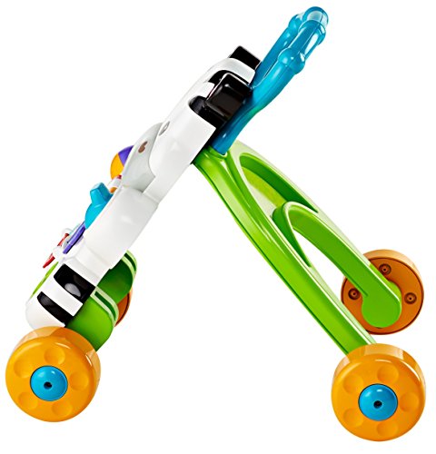 Fisher-Price DLD82 - Loop Met Mij Zebra - Funkymunkey.nl