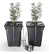 Amazon.com : RDWC Hydroponics Grow System 6 Site + Reservoir, 7-Gallon ...