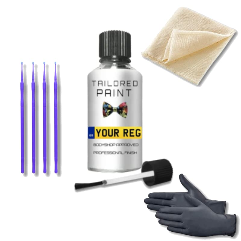 Mixed by Reg Registration Plate Car Touch Up Paint Kit All In 1 Formula ...