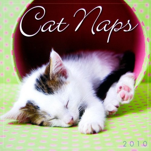Buy Cat Naps (RS) 2010 Mini 7x7: Mini - 7x7 Book Online at Low Prices ...