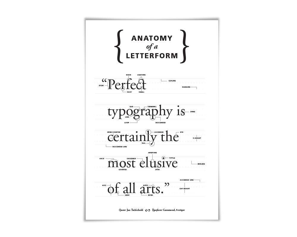 Amazon.com: Anatomy of a Letterform. 60 Colours. 2 Sizes. Graphic ...