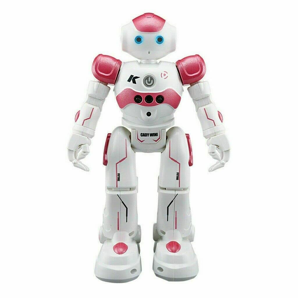 Buy RC Smart Robot for Girls, High Tech Artificial Intelligence Talking ...