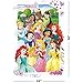Amazon.com: POSTER STOP ONLINE Disney Princess - TV Show/Movie Poster ...