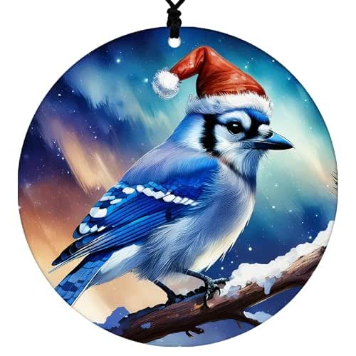 Amazon.com: Blue Jay Christmas Ornament - Bird Home Decor Featuring ...
