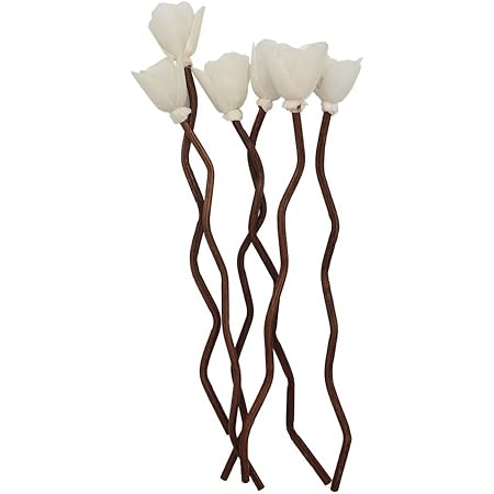 Amazon.com: 30Pcs Premium Brown Wavy Rattan Reeds add Through Grass ...