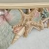 Amazon.com: Touch of Class at The Beach Natural Seashell Wall Shelf ...