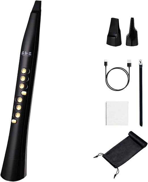 Amazon.com: INGPARTNER Y8 Digital Wind Instrument, Electronic Wind ...