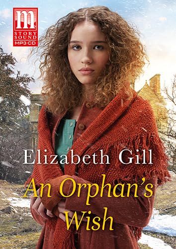 An Orphan's Wish: Amazon.co.uk: Gill, Elizabeth: 9781399128209: Books