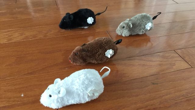 Watch 4 Pcs Wind Up Rat Racers - Have Fun With Your Own Rat Race on ...