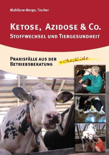 Azidose – Die 16 besten Produkte im Vergleich