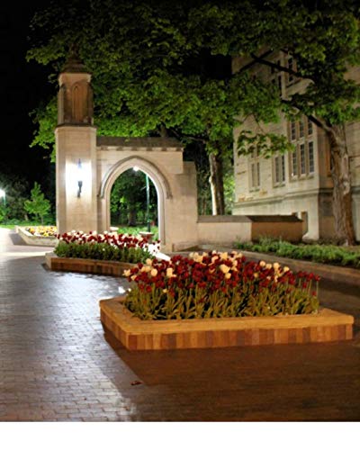 Cream and Crimson: Prince Jason Clark: 9781714836031: Amazon.com: Books