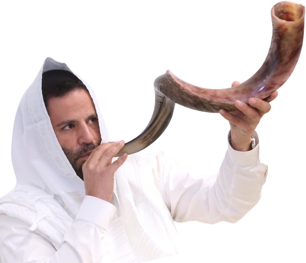 Amazon.com: Chofar Jerusalem Shofar Kosher Gemsbok Gemsbock Moroccan ...