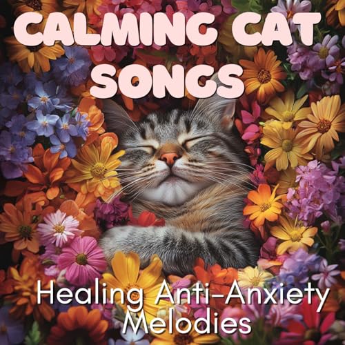 Wonderful Feelings song by Cat Music Dreams, Pet Music Therapy, Relax ...