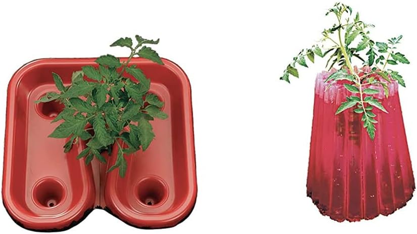 Amazon.com : Park Seed Bundle - Tomato Automator Red Tray & Kozy Coats ...