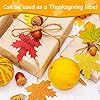 Amazon.com: Demissle Thanksgiving Fall Leaves Bulletin Board ...