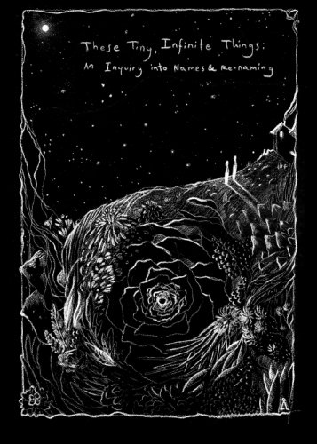 These Tiny, Infinite Things: an inquiry in to names & namins: Maps ...