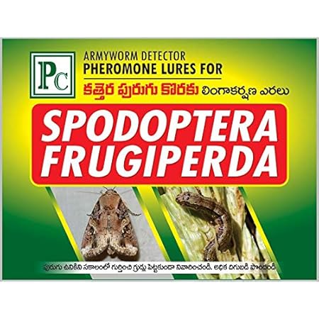 Pheromone Chemicals Lures for Spodoptera frugiperda (Fall Armyworm ...
