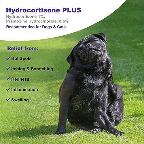 VetWELL Hydrocortisone Spray For Dogs & Cats - Itchy Skin Relief From ...