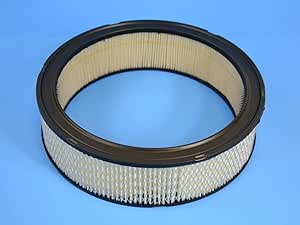 Amazon.com: Mopar 6805 5879AA, Air Filter : Automotive