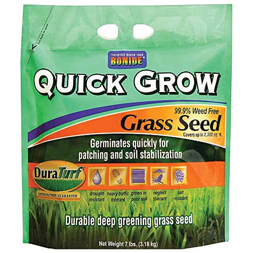 Top 10 Best Quick Growing Grass Seed : Reviews & Buying Guide - Katynel