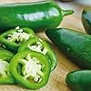 Amazon.com : Jalapeno Goliath Hybrid Pepper Seeds-Great Grillers and ...
