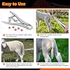 Amazon.com: Goat Banding Kit - Stainless Steel Bander, 200 Castrator ...