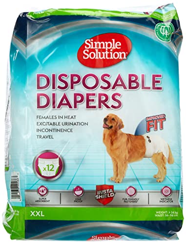 Best Dog Incontinence Products